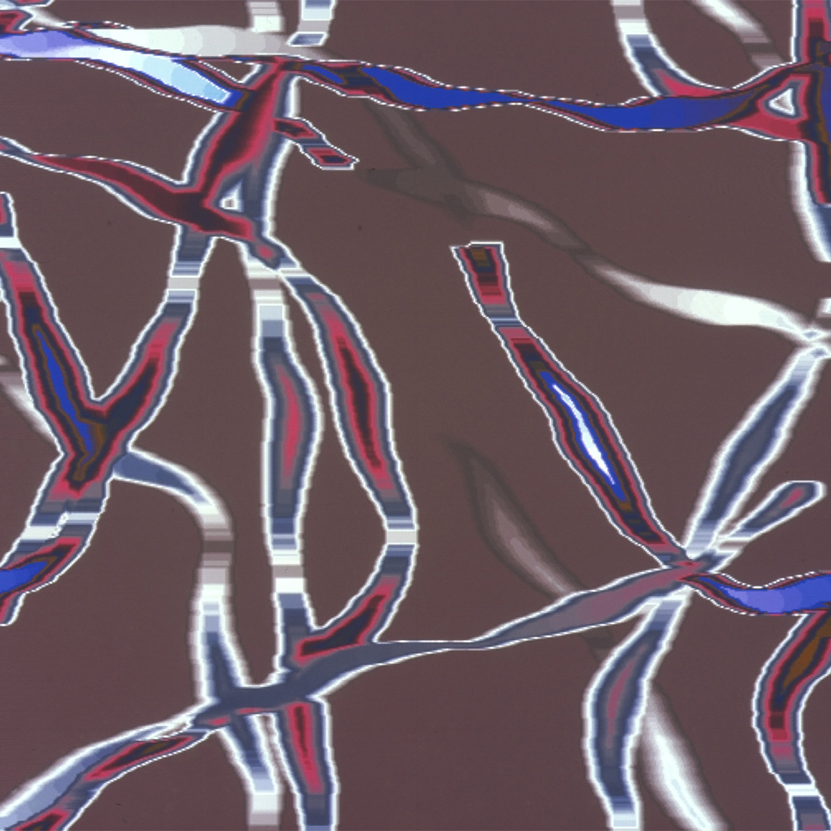 Math Art - System DIBIAS | art meets science