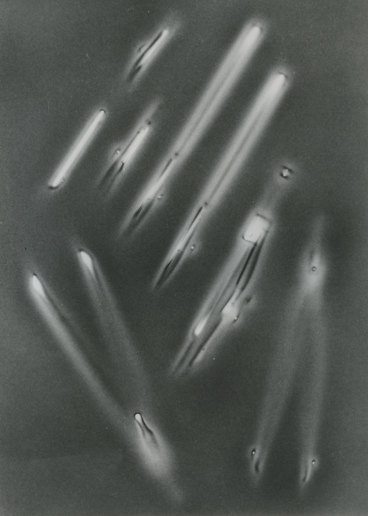 Experimental Aesthetics: The Exhibition | art meets science