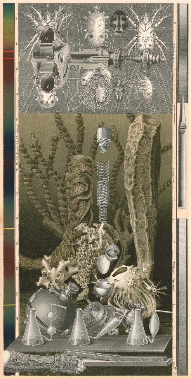 Franke & Friends Collection | art meets science